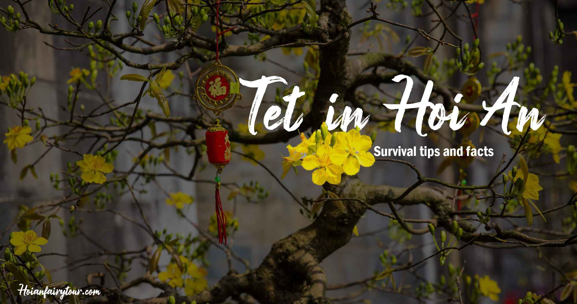Tet in Hoi An - 5 Survival tips for tourist